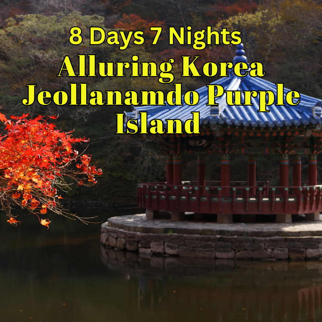8D7N Jeollanamdo Purple Island Korea | chachatours